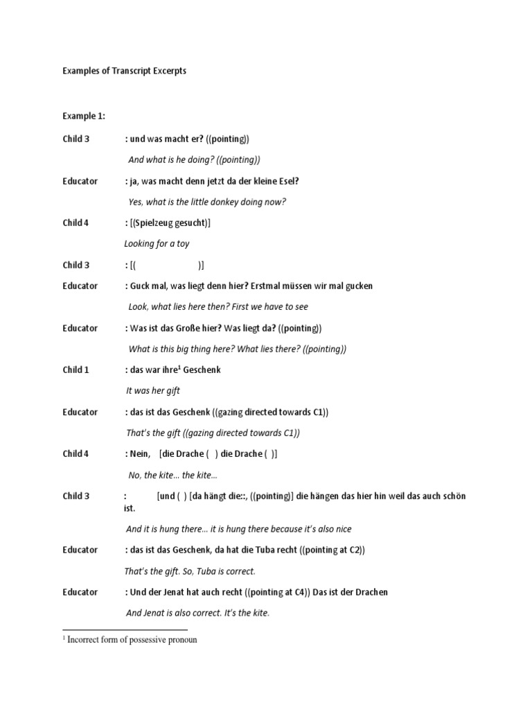 Example of Transcript Excerpts | PDF