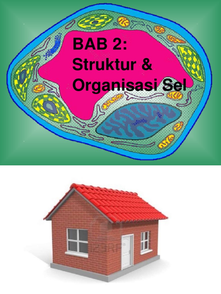 Bio f4 Ch2 Notes | PDF