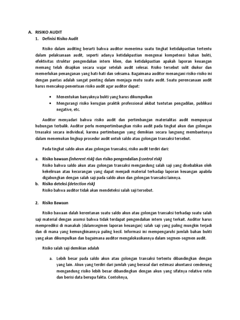 Risiko AUDIt | PDF