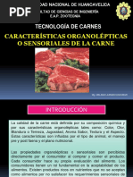 Visceras de La Res | PDF | Menudencias | Carne