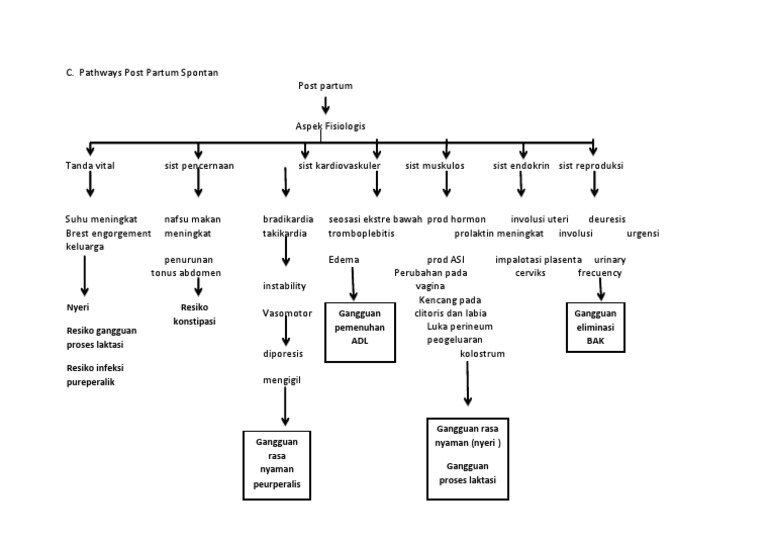 Pathway Partus Normal | PDF