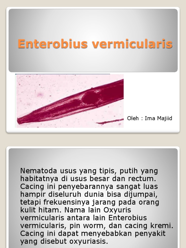 Enterobius Vermicularis | PDF
