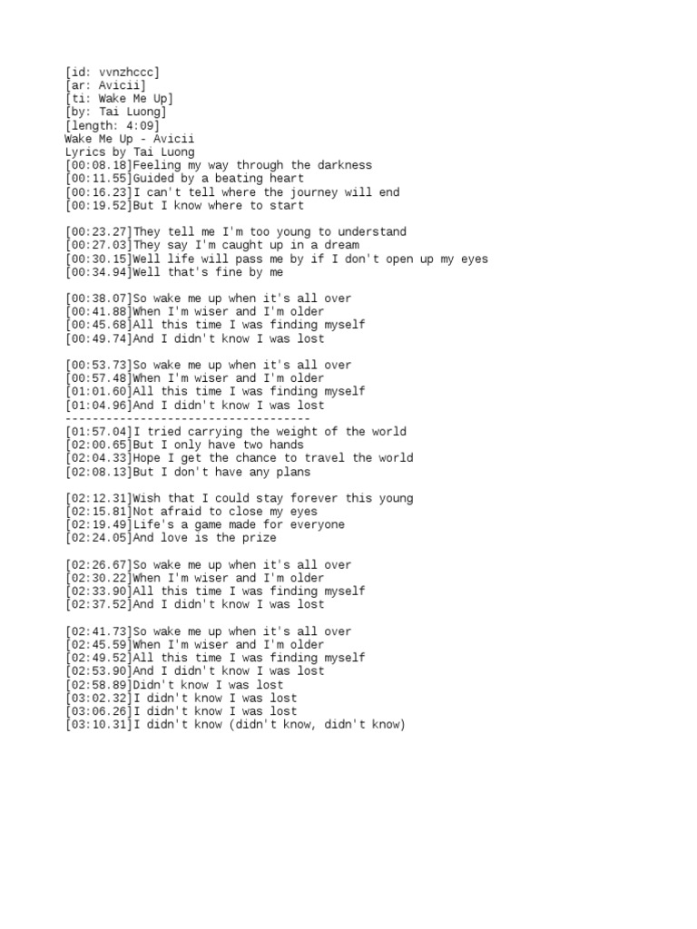 Wake Me Up Lyrics