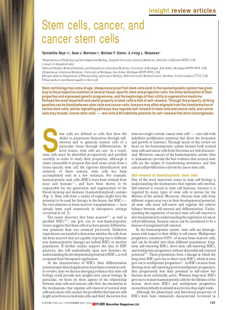 Stem Cells, Cancer, and Cancer Stem Cells: Insight | PDF ...