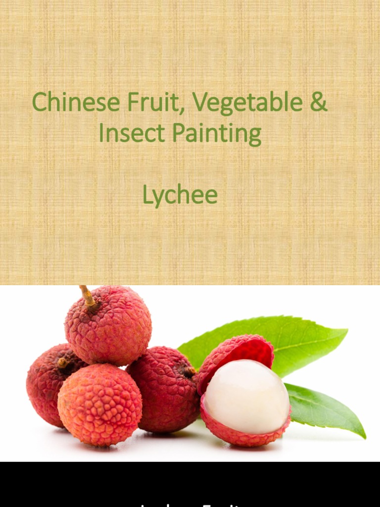 Chinese Fruit, Vegetable & Insect Painting Lychee | PDF