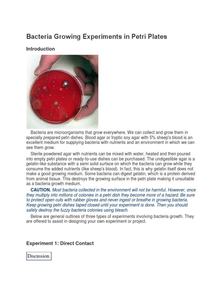 Bacteria Growing Experiments in Petri Plates | PDF | Growth Medium ...