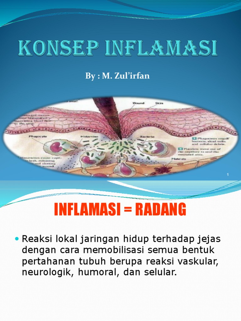 Gambaran Umum Inflamasi | PDF