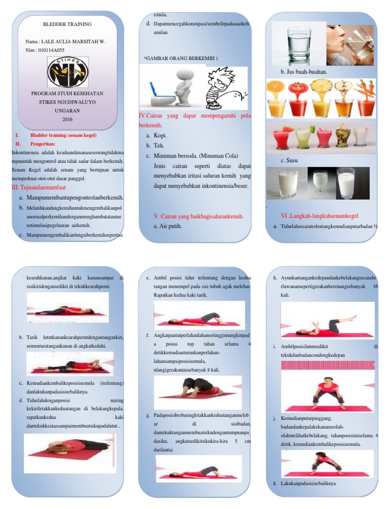 Leaflet Bladder | PDF