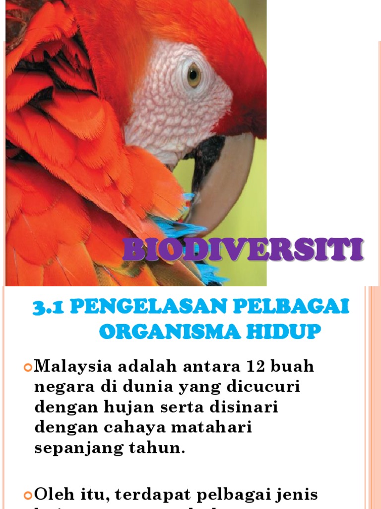 Sains Tingkatan 2 Bab 3 Biodiversiti Pdf