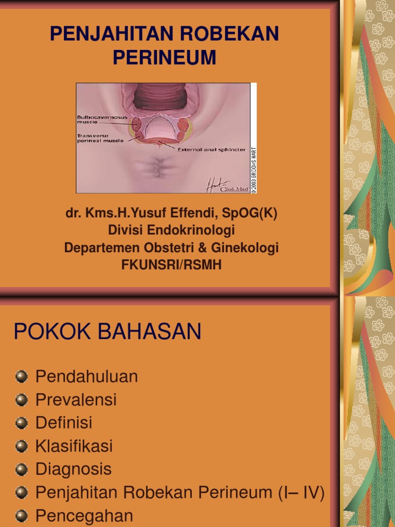 Penjahitan Robekan Perineum 17mei08 PLBNG | PDF