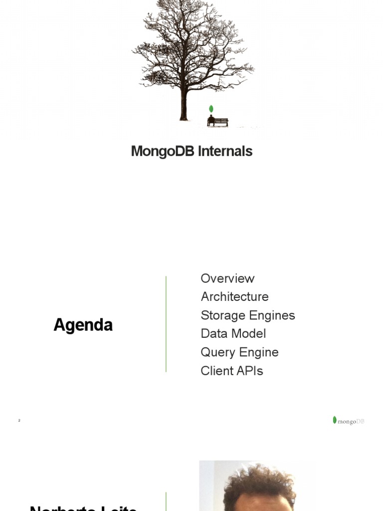 MongoDB Internals: An Overview of MongoDB Architecture, Storage Engines, Data Modeling, and ...