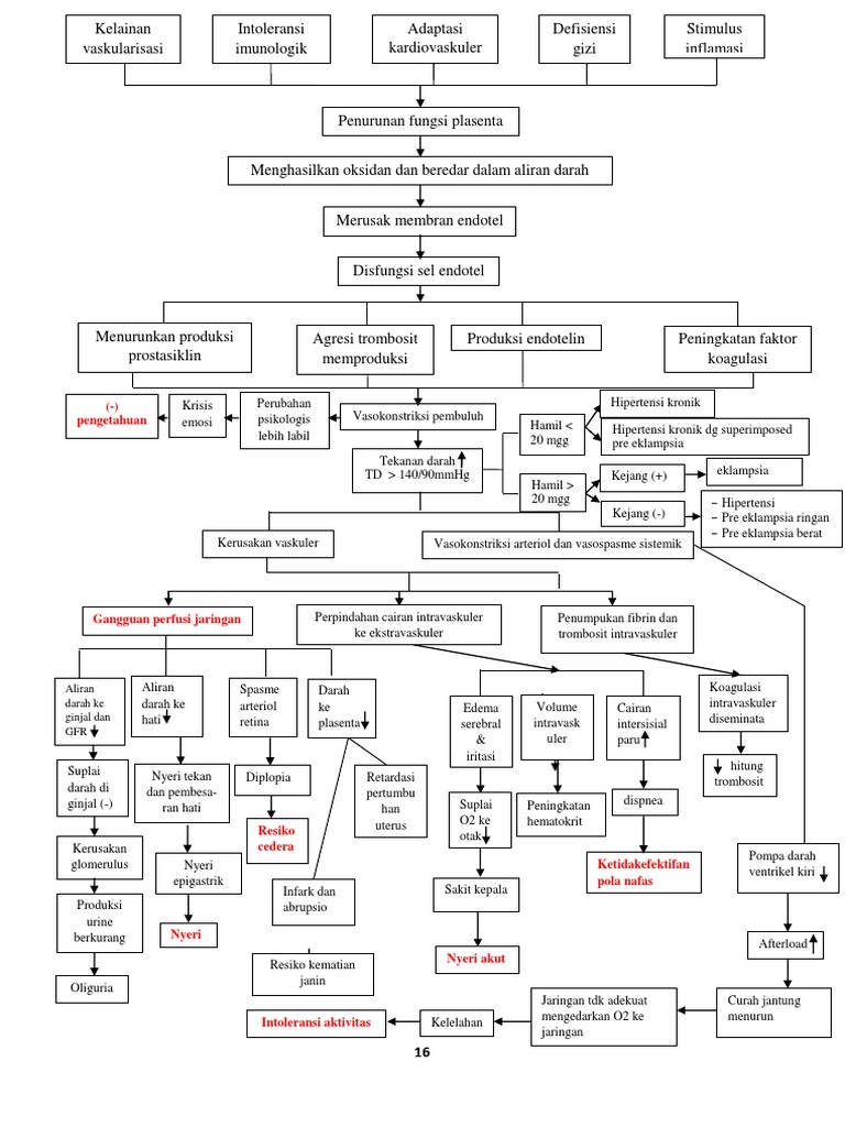 Woc Hipertensi Pada Kehamilan | PDF