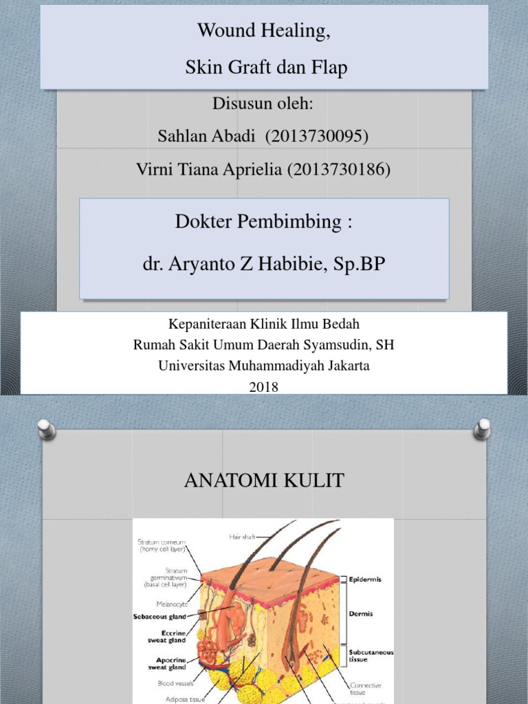 Wound Healing, Skin Graft, Flap | PDF