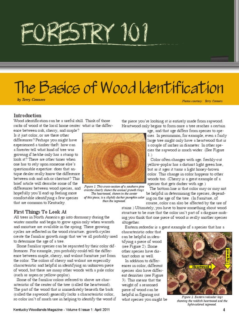 Wood Identification | Trees | Wood