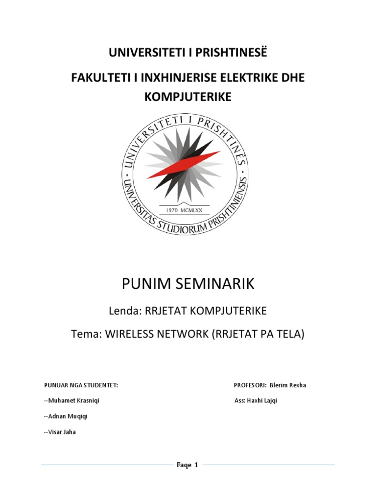 Wireless Network | PDF