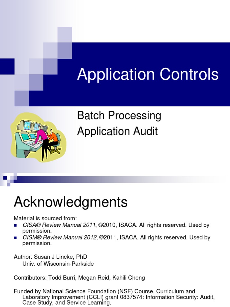 Application Controls: Batch Processing Application Audit | PDF | Simulation | Computer Program