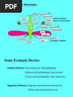 Flower | PDF | Plant Reproduction | Flowers