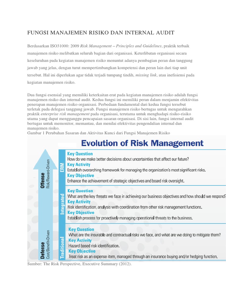 Manajemen Risiko dan Audit Internal ISO31000 | PDF