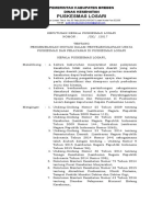 Contoh SK Inovasi Program PKM | PDF