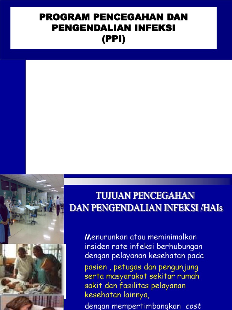 5 Program PPI | PDF