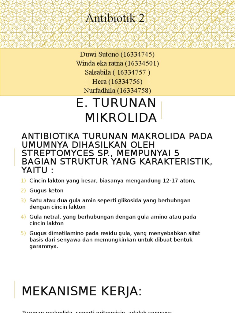 Antibiotik Makrolida: Mekanisme dan Contoh | PDF