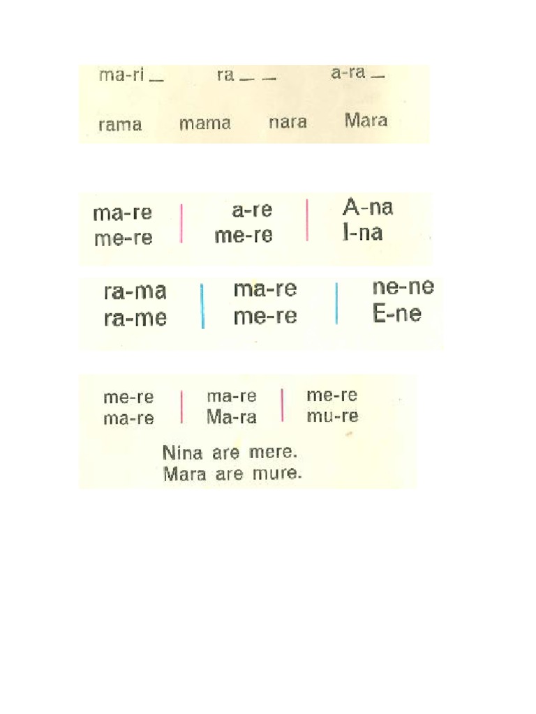 Fise de Lucru Cuvinte Pe Silabe