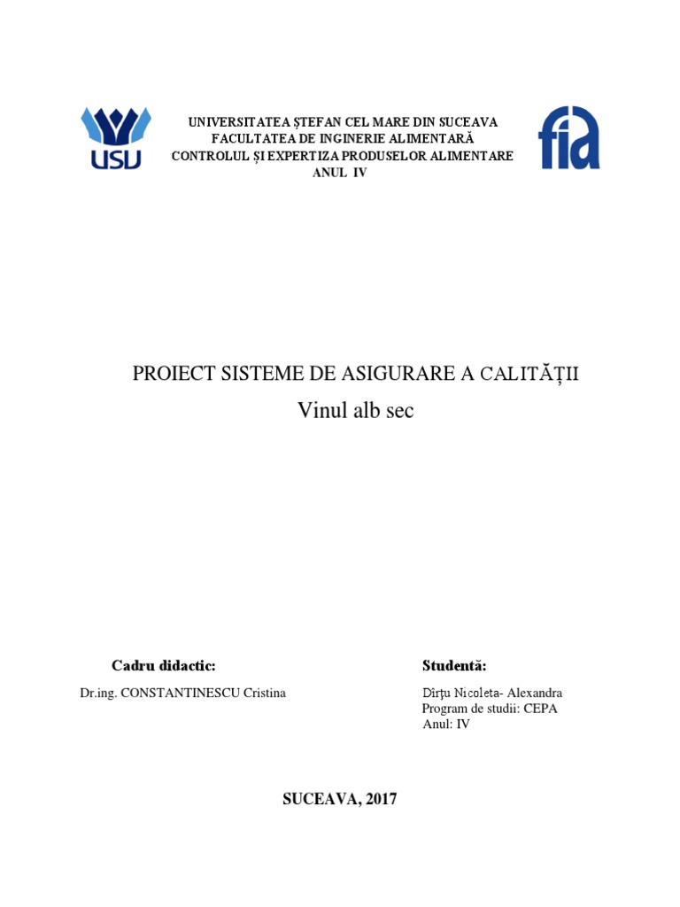 Proiect SAC - Dîrțu Alexandra | PDF
