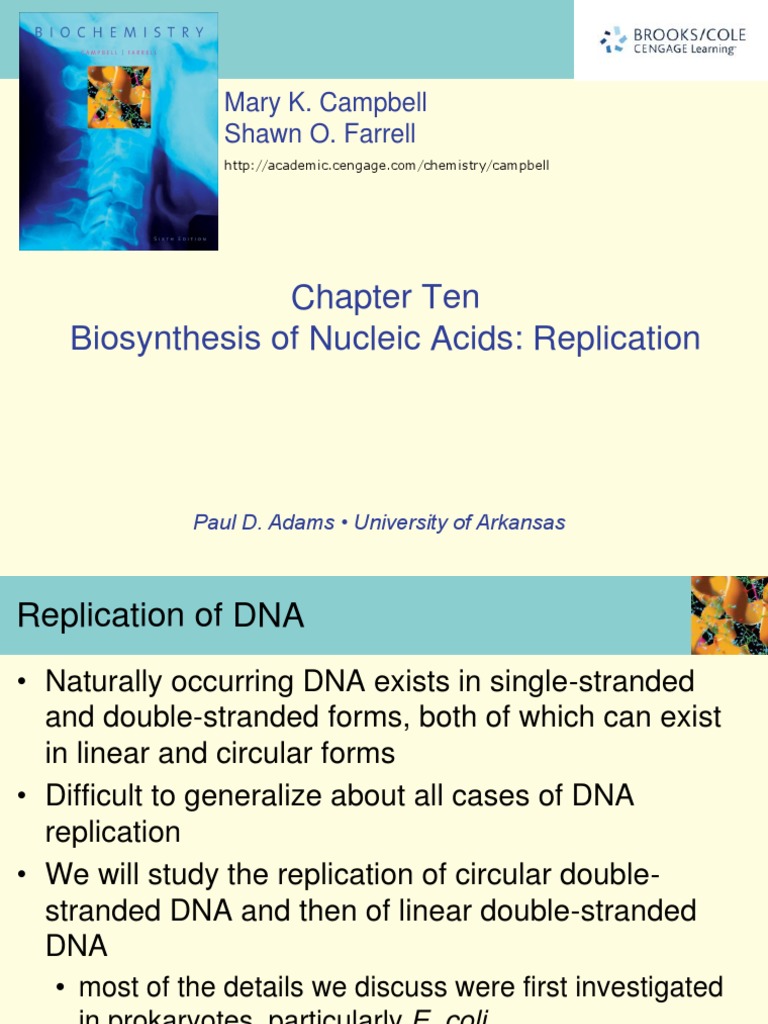 Chapter Ten Biosynthesis of Nucleic Acids: Replication: Mary K ...