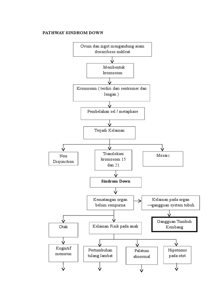 Pathway Sindrom Down | PDF