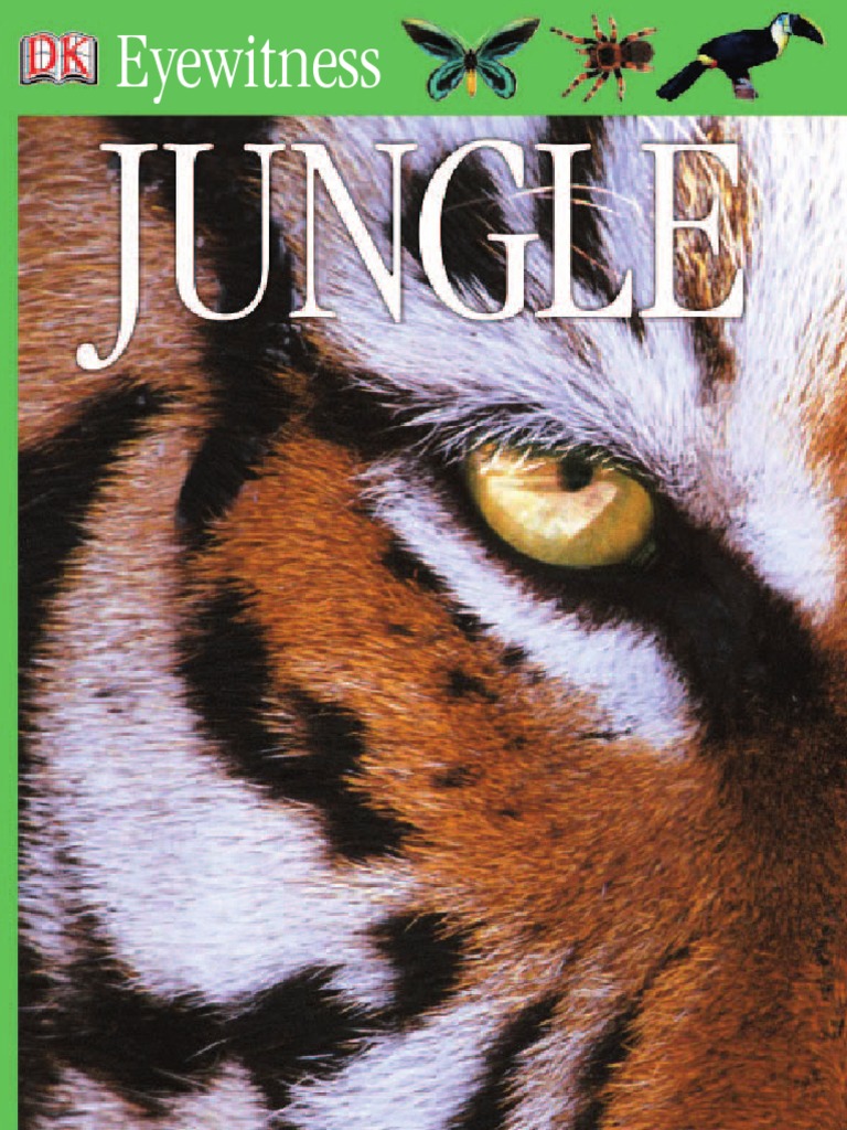 Jungle | PDF | Rainforest | Forests