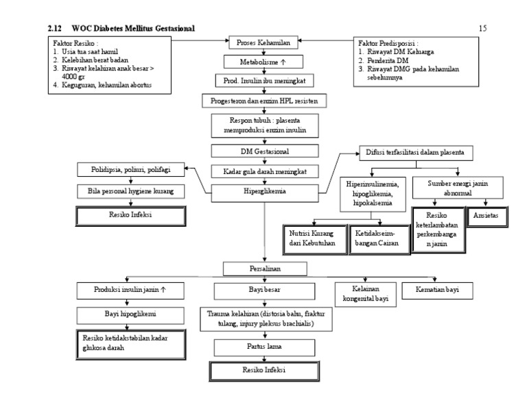 Pathway Diabetes Melitus Gestasional | PDF