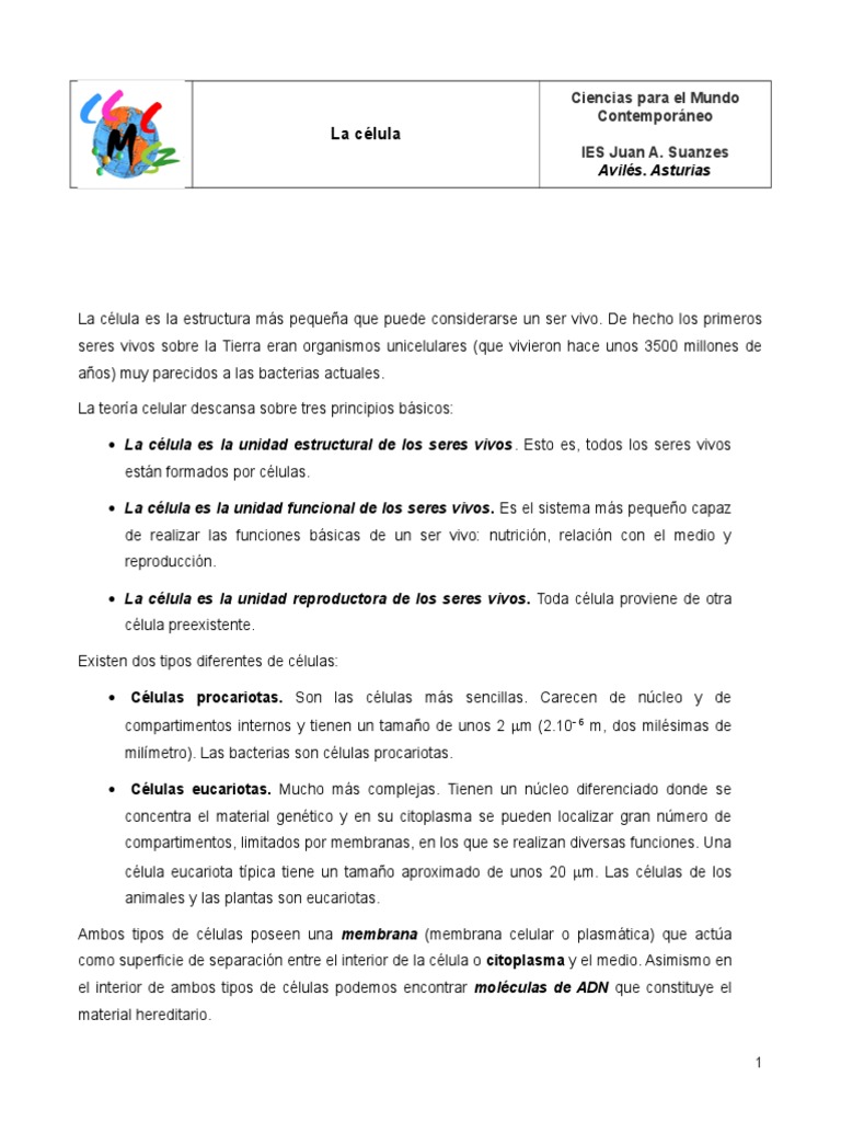 Lace Lula | PDF | Citoplasma | Biología Celular)