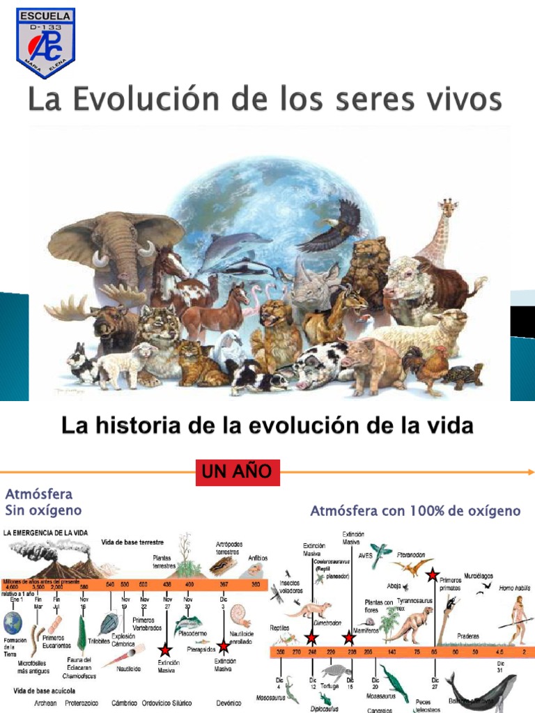 La Evolucion de Los Seres Vivos | PDF | Biología | Naturaleza