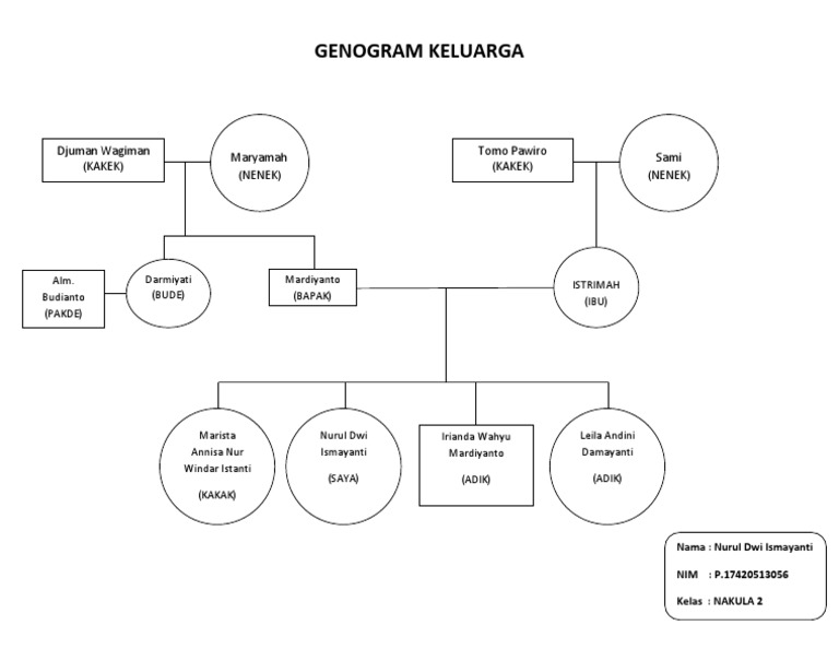 Genogram Keluarga | PDF