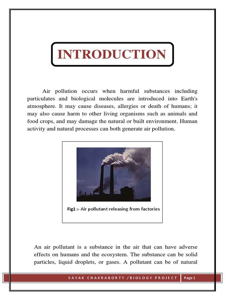 Air Pollution | PDF | Air Pollution | Particulates