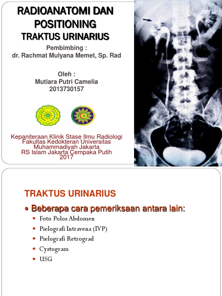 Radioanatomy dan Positioning Traktus Urinarius | PDF