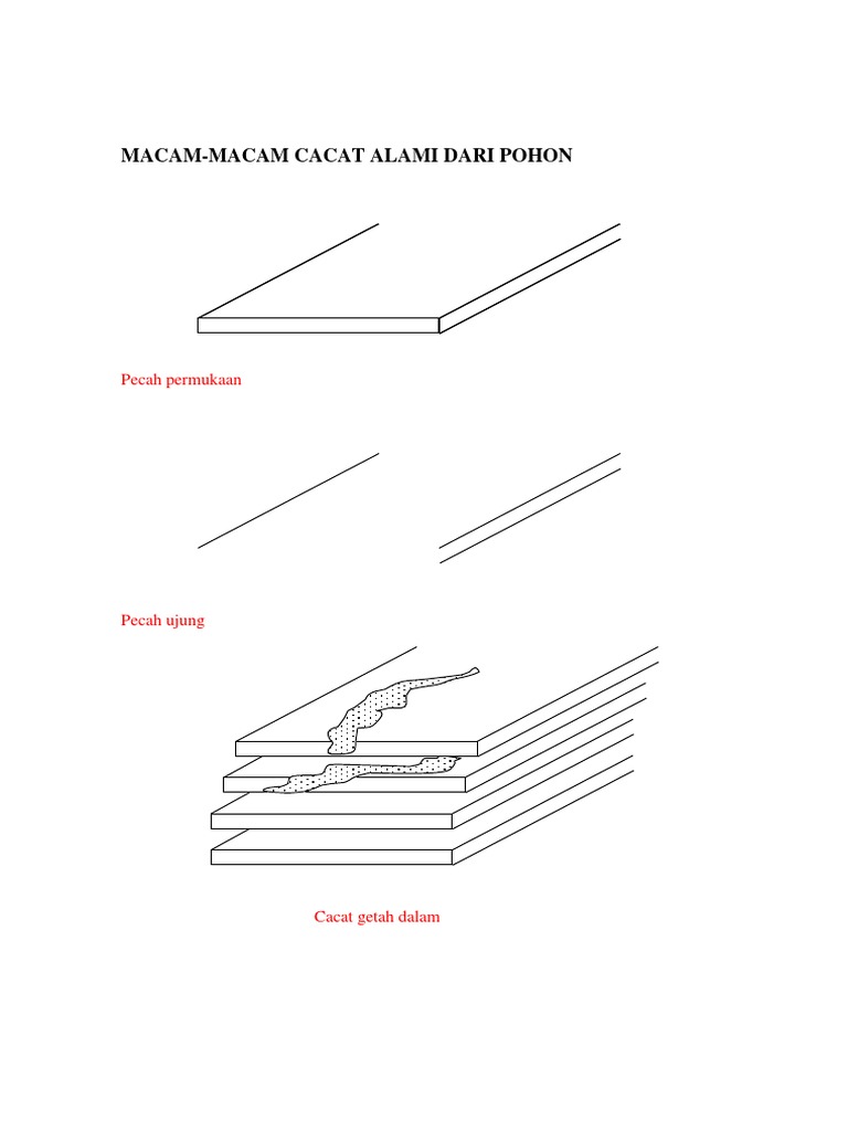 Gambar Cacat Cacat Kayu | PDF