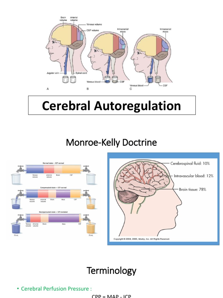 Autoregulation of Cerebral Perfusion Pressure | Cardiovascular System ...