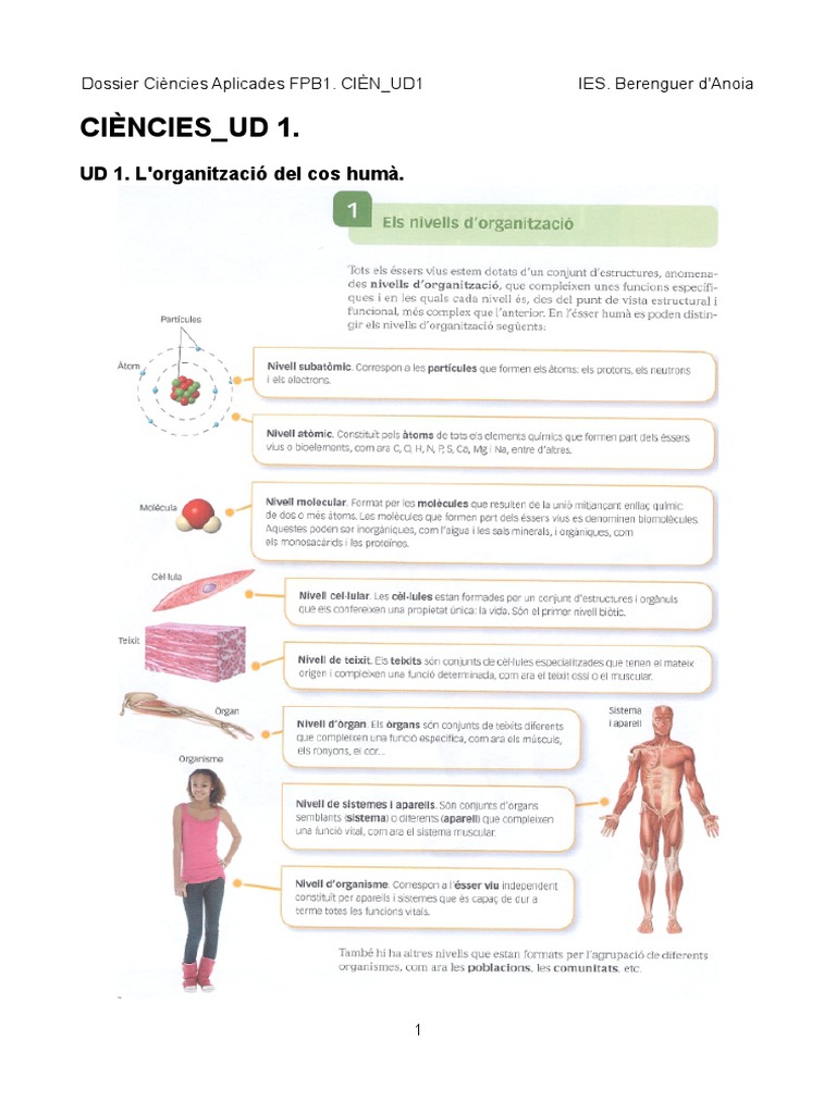 Dossier FPB1. CIÈN - UD 1. L'Organització Del Cos Humà | PDF