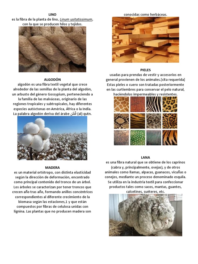 Materias Primas | PDF | Algodón | Cuero