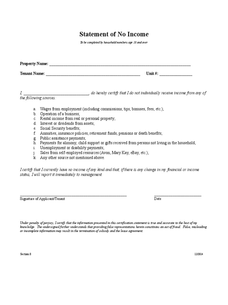 Statement of No Income