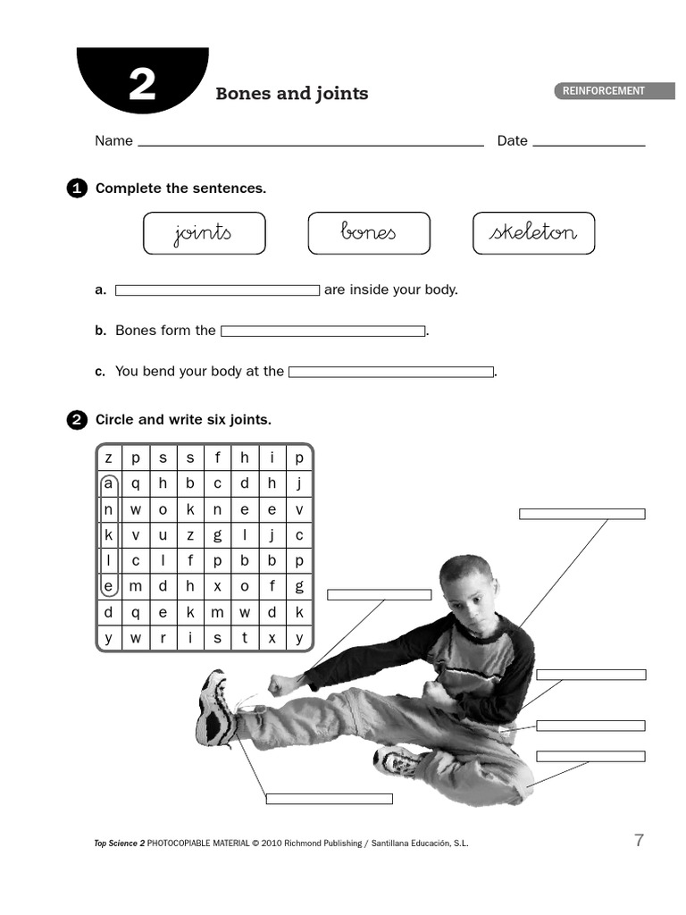 Jointfi Bo Efi "S e Eto : Bones and Joints | PDF | Musculoskeletal ...