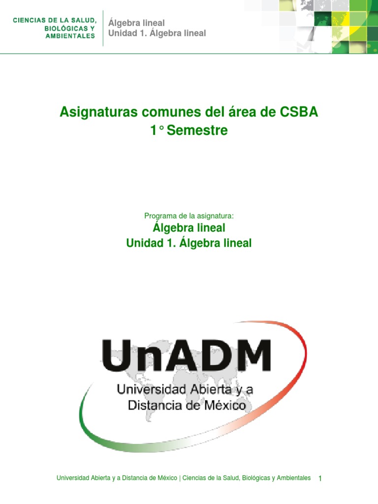 Introducción al Álgebra Lineal | PDF