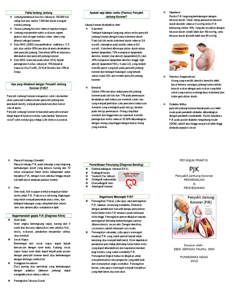Leaflet PJK | PDF