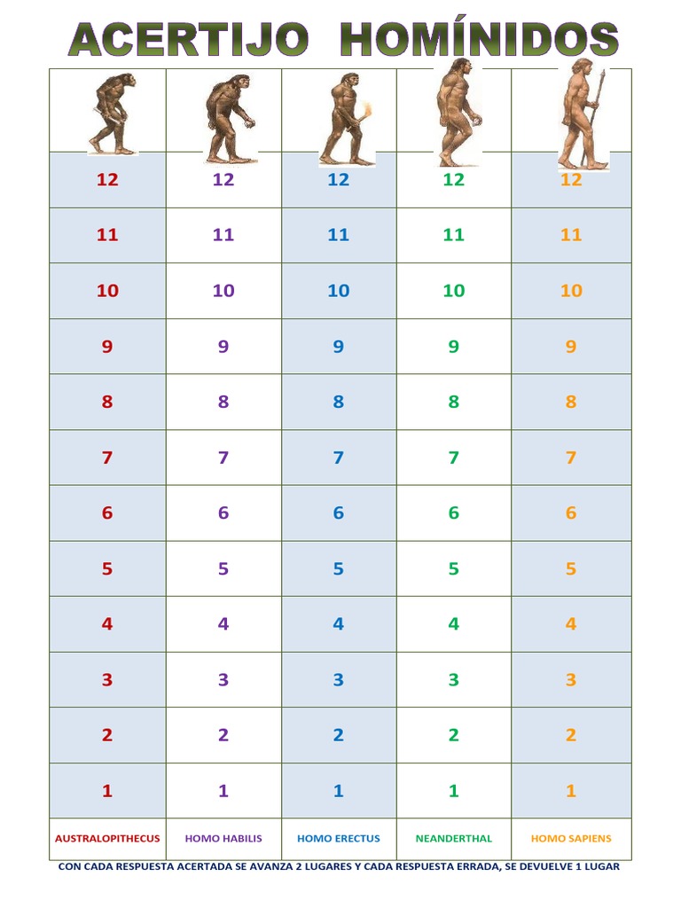 Evolución del Hombre: Homo Habilis y Más | PDF | Homo | Mono
