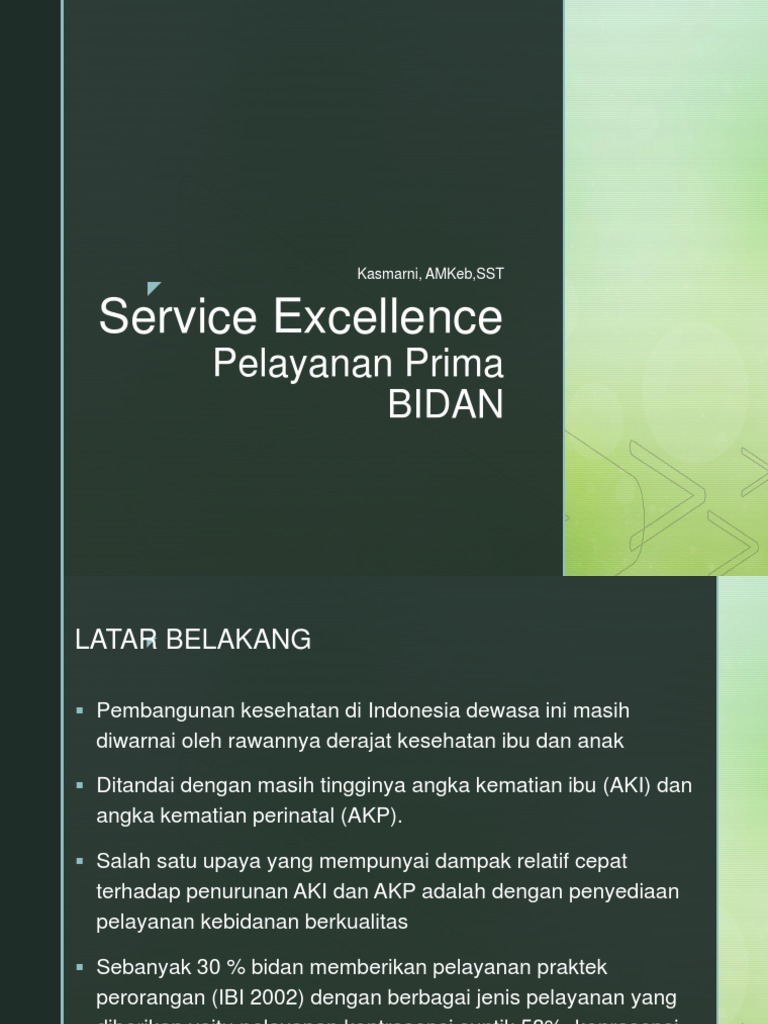 Service Excellence | PDF
