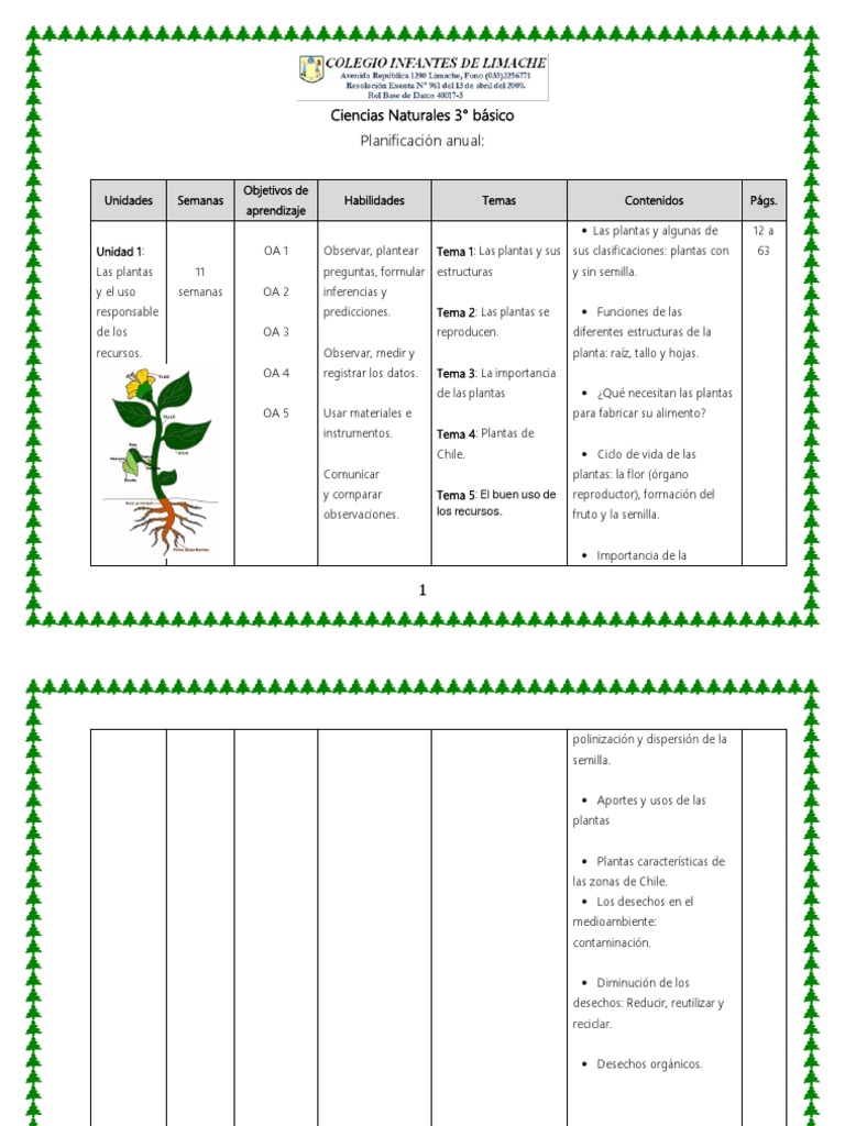 Planificación Anual ciencias tercero bàsico | Plantas | Luna