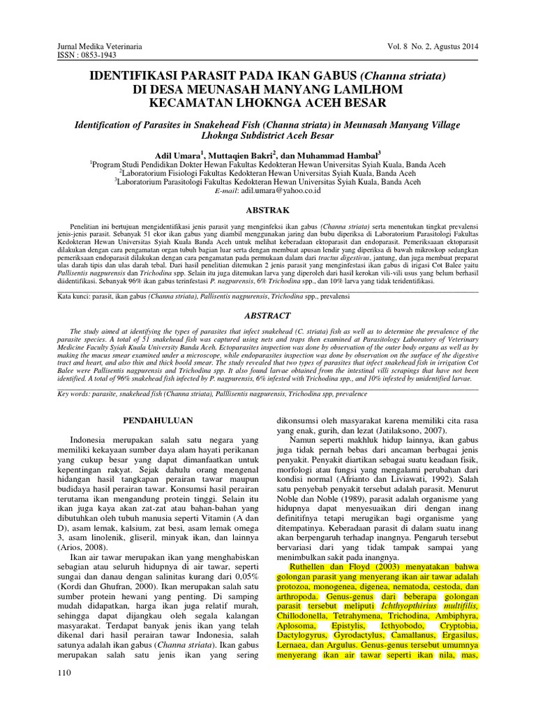 Identifikasi Parasit Pada Ikan Gabus (Channa Striata) Di Desa Meunasah ...