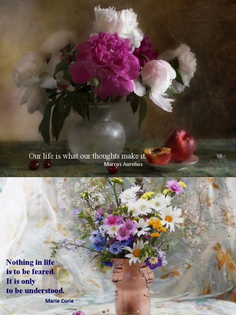 Still Life and Quotations | PDF