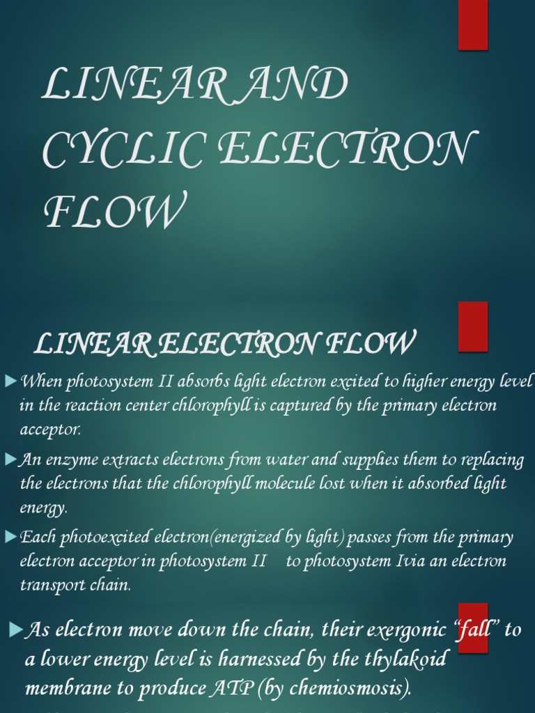 Linear and Cyclic Electron Flow | PDF